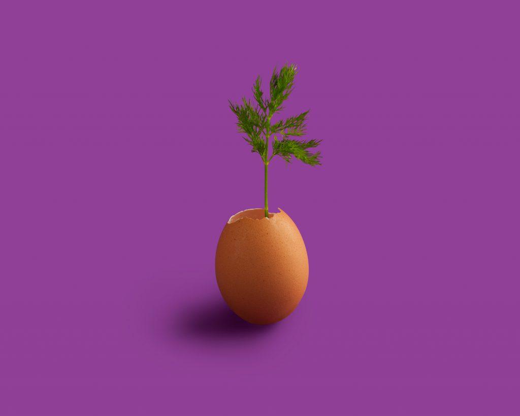 How to add a Biller to start a SIP online - Orowealth Blog